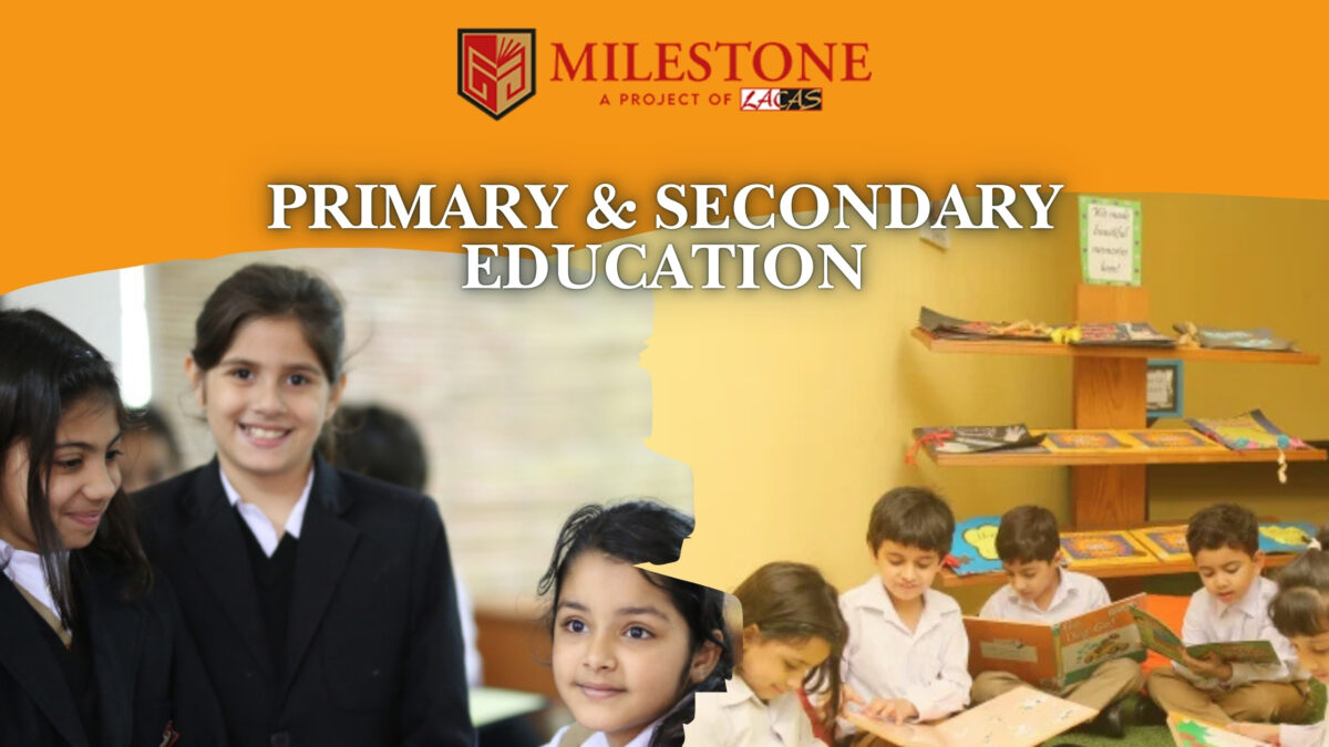 What’s the Difference Between Primary and Secondary Education? - The Milestone School